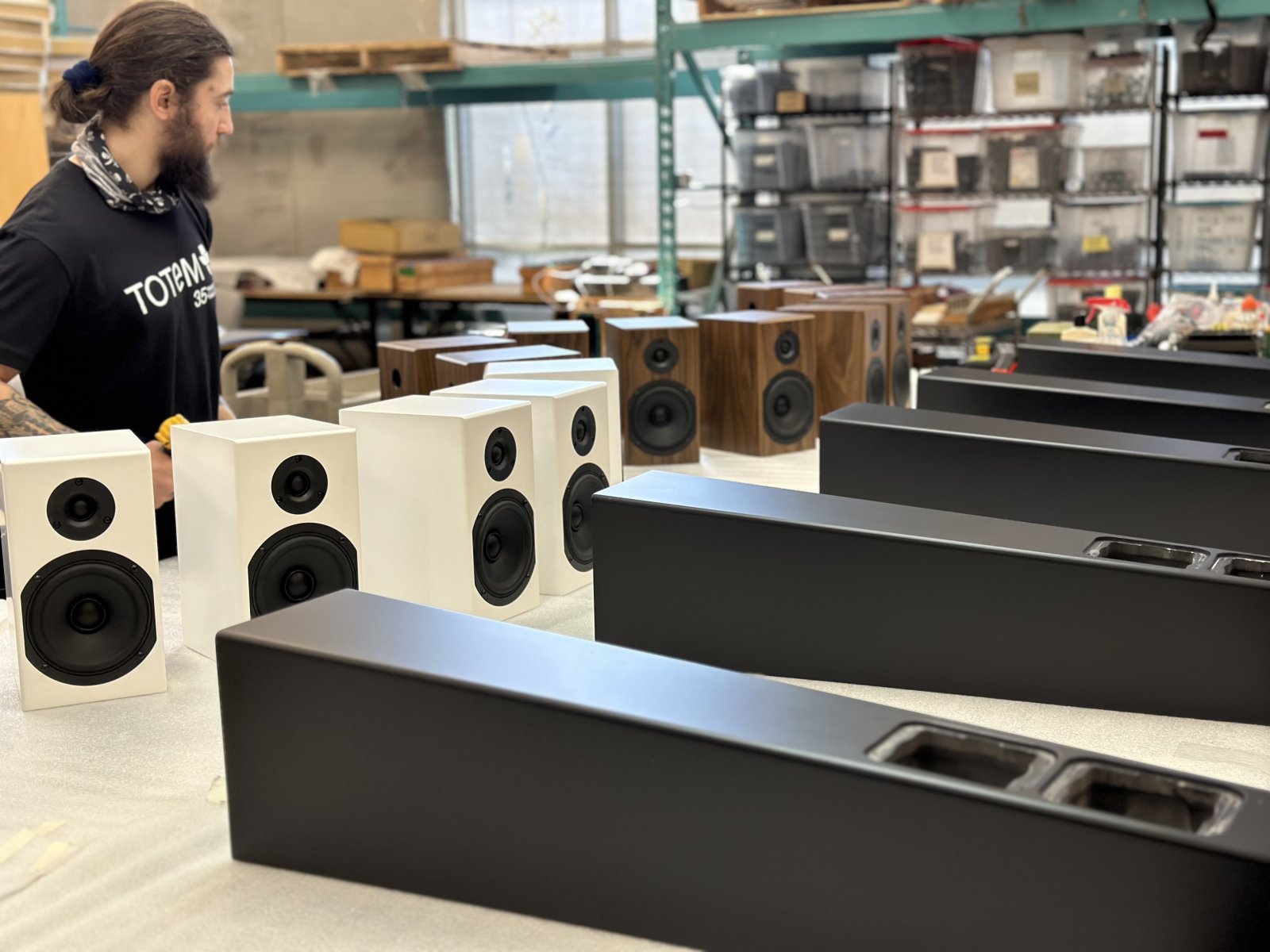 Totem Bison Twin Tower Speakers – A Love Story - Wifi Hifi Magazine