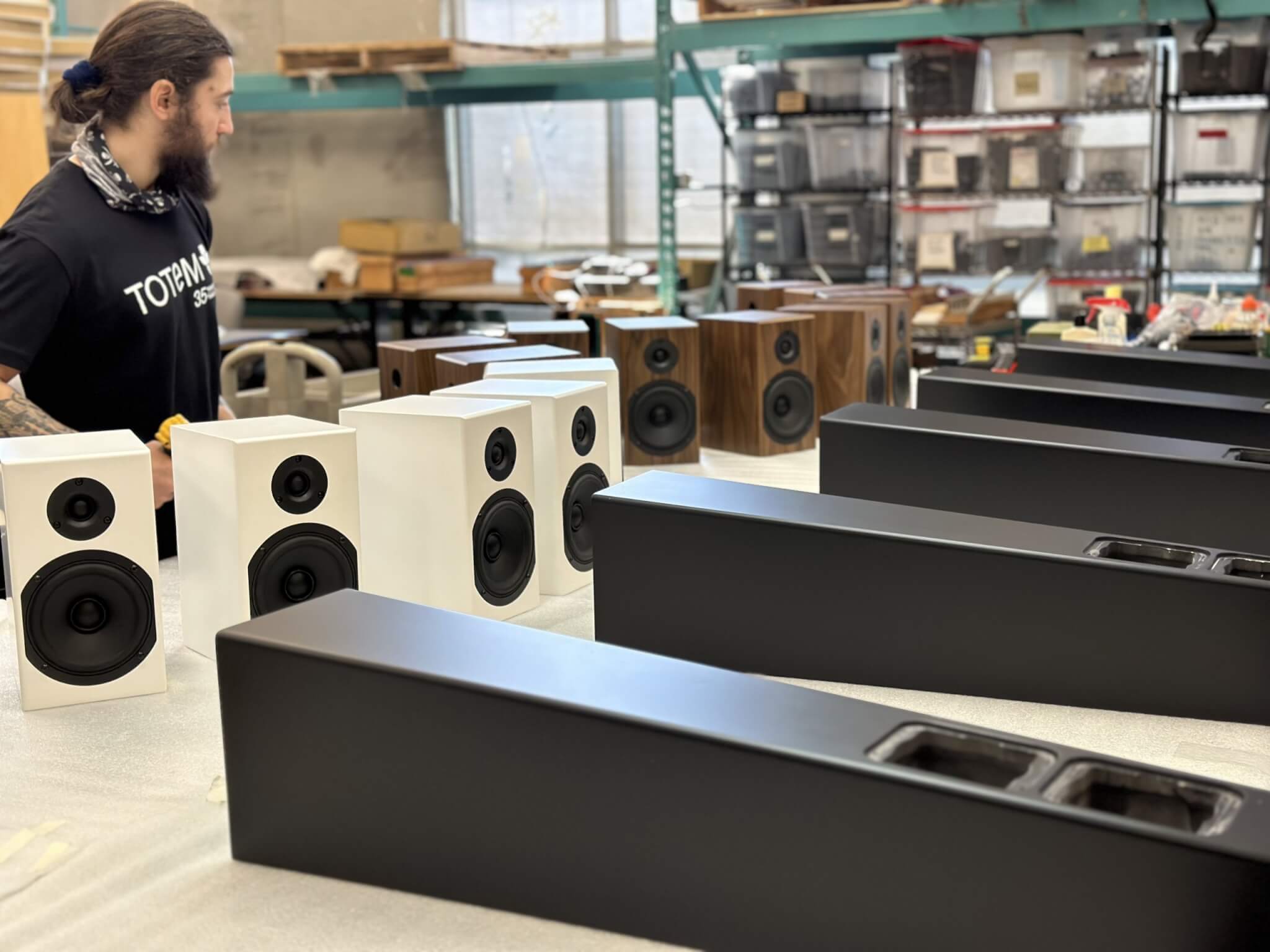 Totem Bison Twin Tower Speakers – A Love Story - Wifi Hifi Magazine